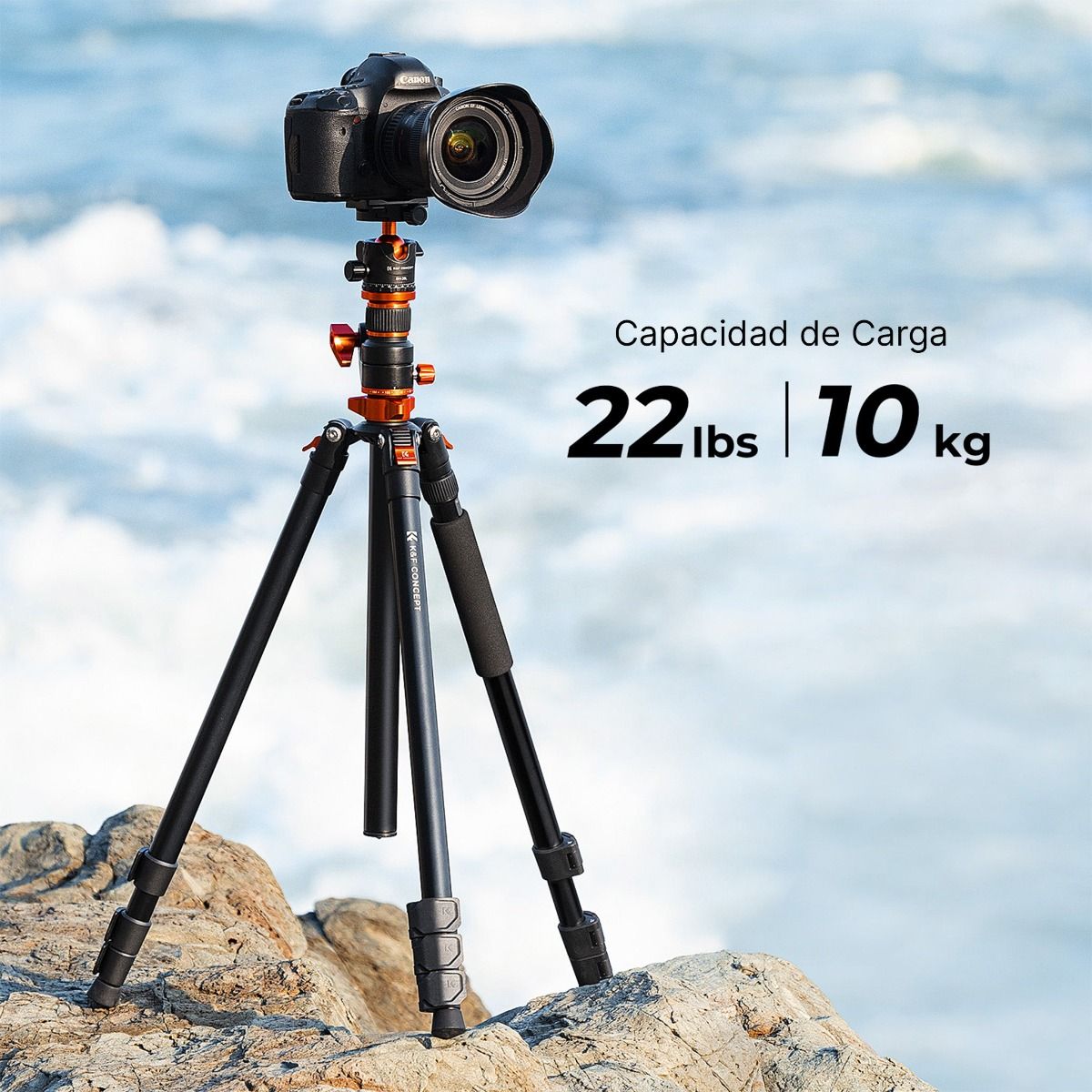 Tripie K&F Concept T254A7 Aleación de Aluminio con Cabezal 360° (KF09 ...